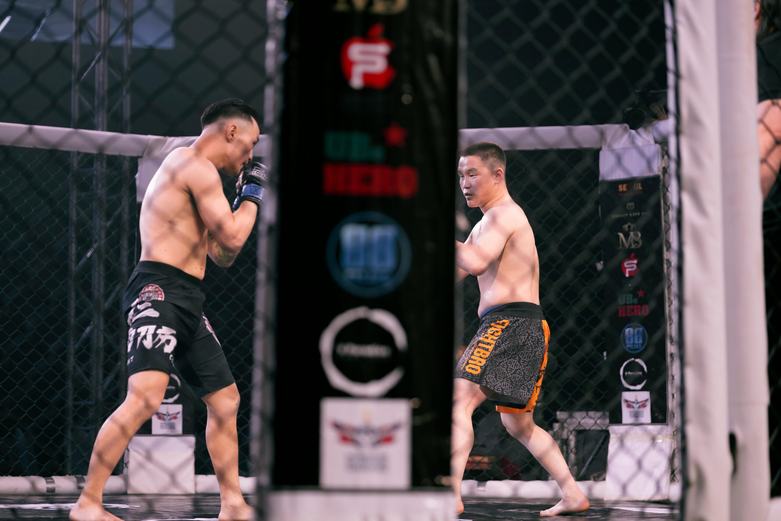 The high-tech fight game and how technology is changing MMA for ...